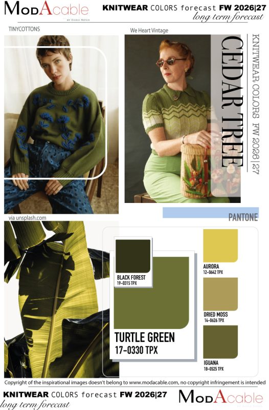 FW 26/27 knitwear color trend Cedar tree